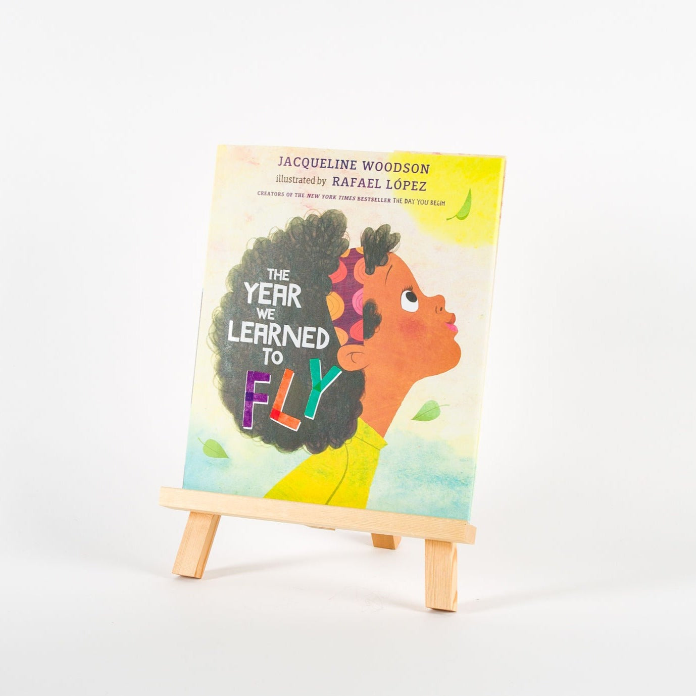 The Year We Learned to Fly, Jacqueline Woodson and Rafael López – Press ...