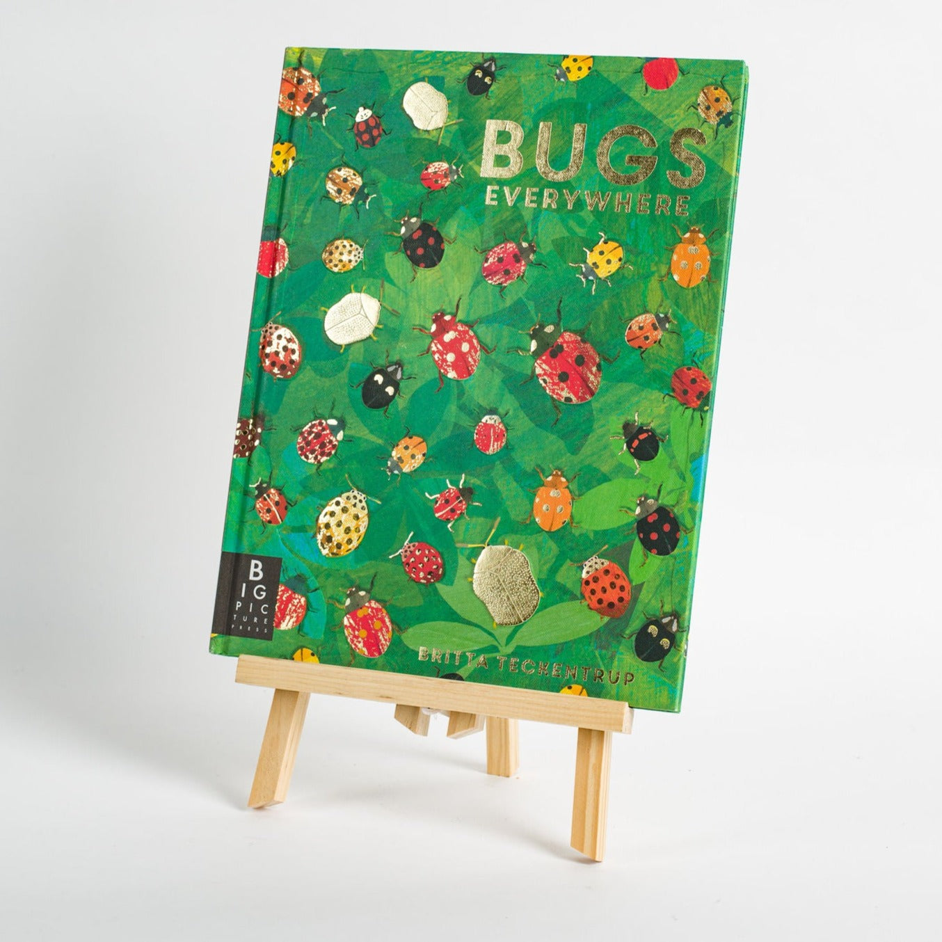 Bugs Everywhere, Lily Murray – Press Shop