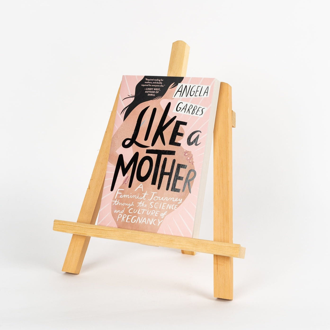 Like a Mother, Angela Garbes – Press Shop